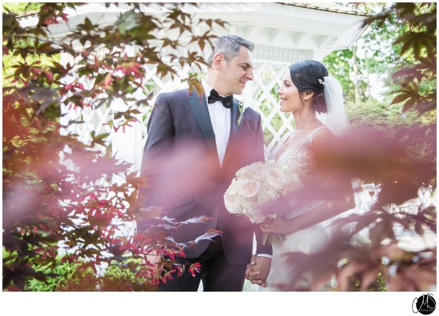 Maria Silva Photography Blog » Blog